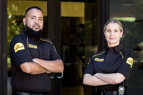 Integrated Security | Prosegur USA